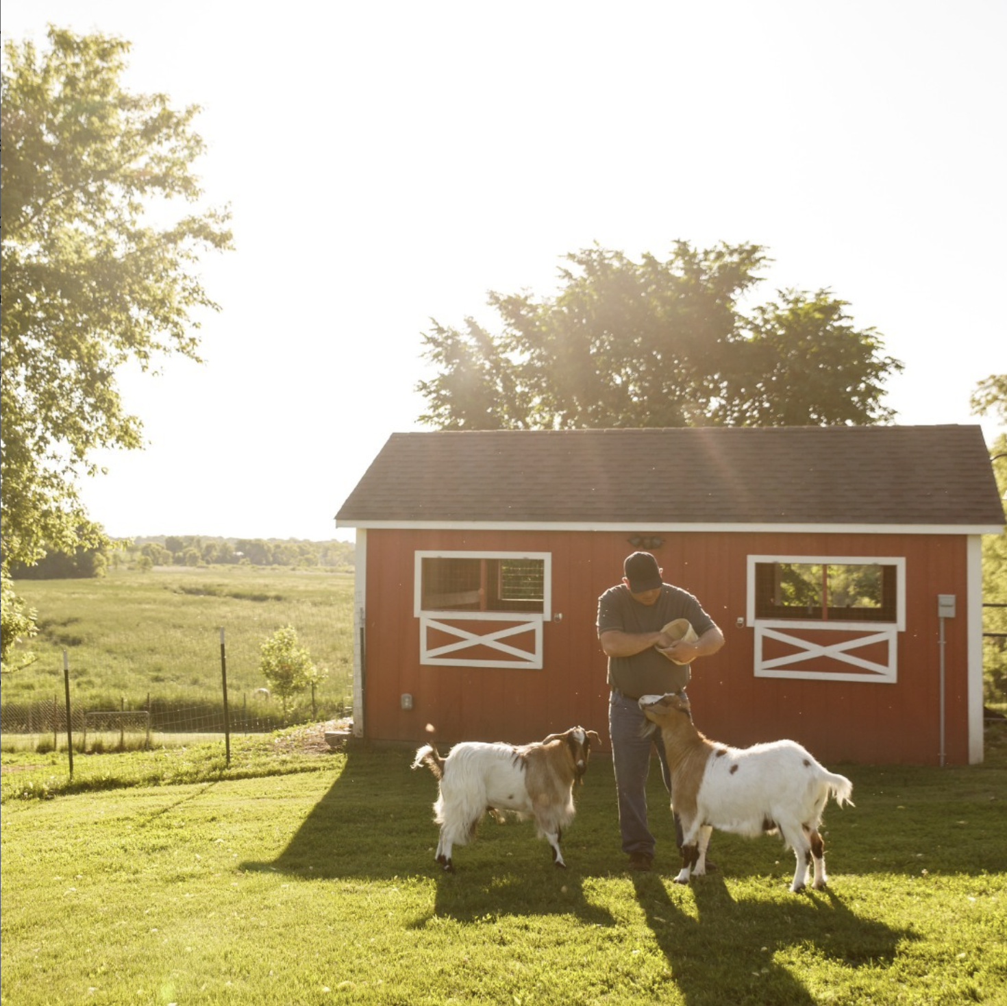 Book your next event @ LuceLine Orchard